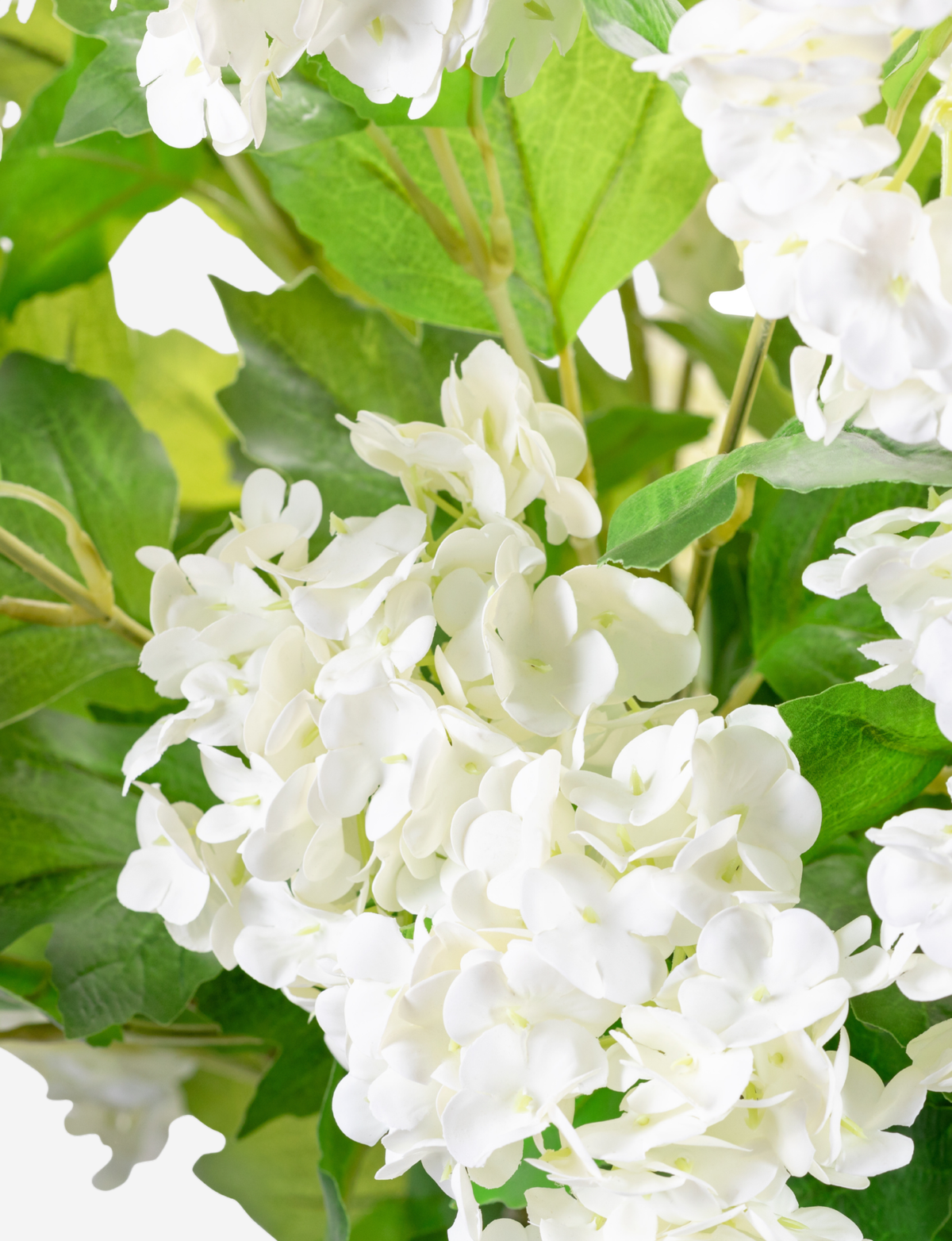 Bree RealTouch Snowball Hydrangea Arrangement | SmithHönig