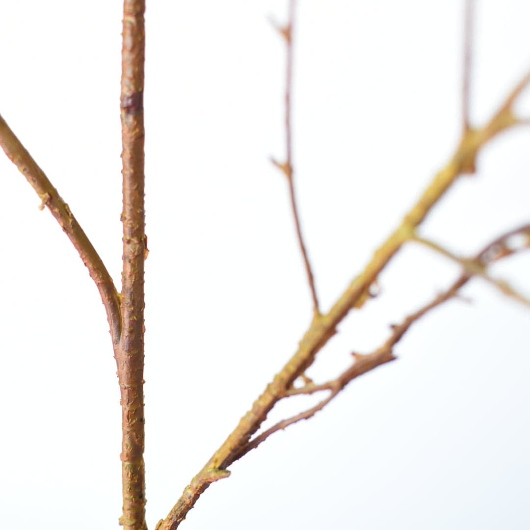 40" Faux Light Brown Twig Branch Stem | SmithHönig