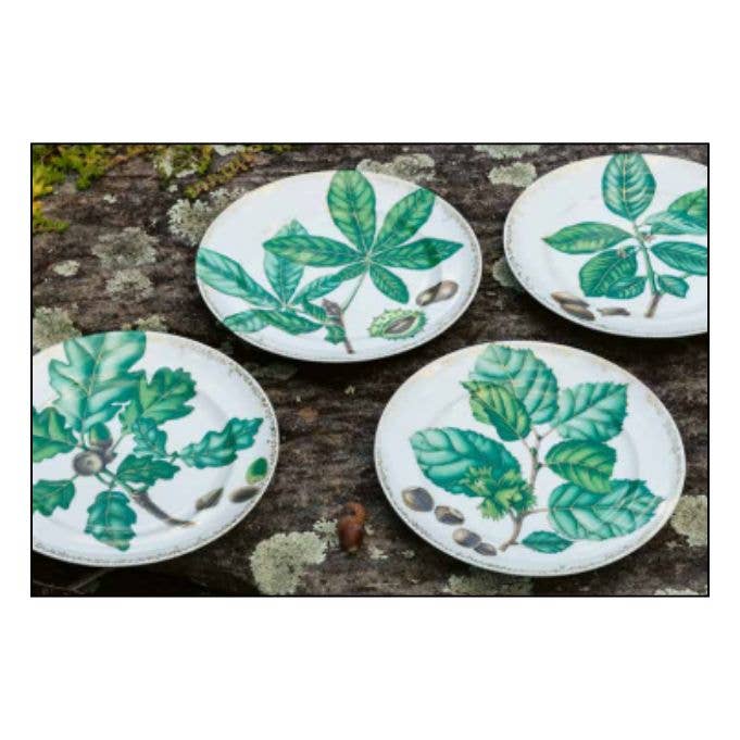 Splendid Settings: 100 Years of Mottahedeh | SmithHönig