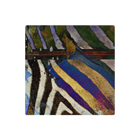 Aluminum Art Print - Sebra Stripe | SmithHönig